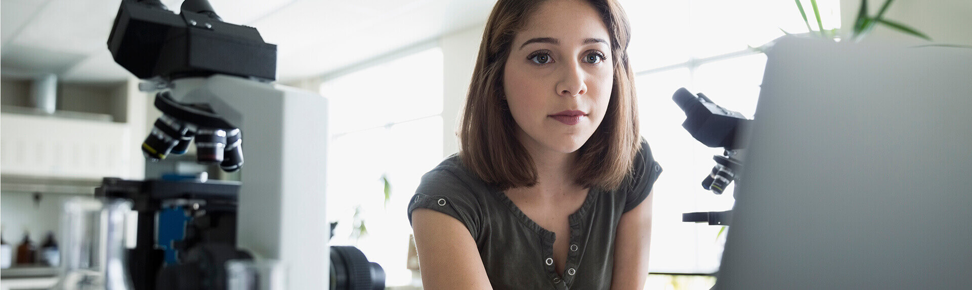 论文科学编辑服务 | 施普林格·自然作者服务